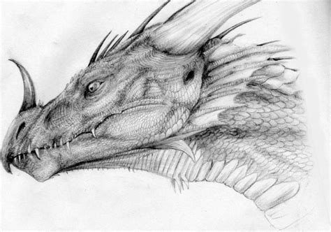 How To Draw A Realistic Dragon Head