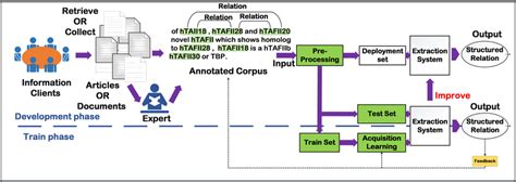 biomedical relation extraction workflow adapted from [16 19] download scientific diagram