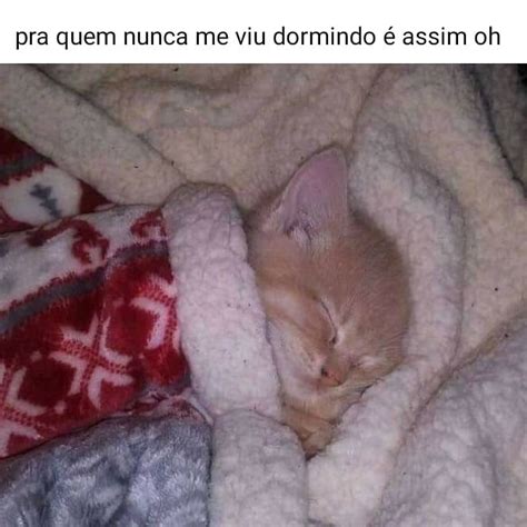 Pra quem nunca me viu dormindo é assim oh Memes