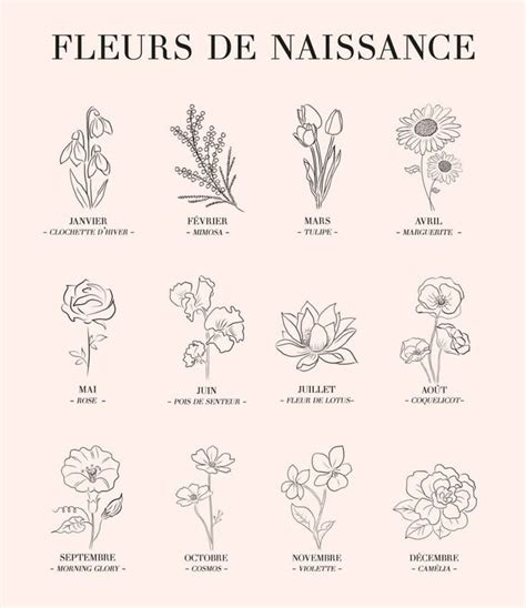 Fleurs De Naissance Tatouage Naissance Tatouage Cosmos Tatouages De