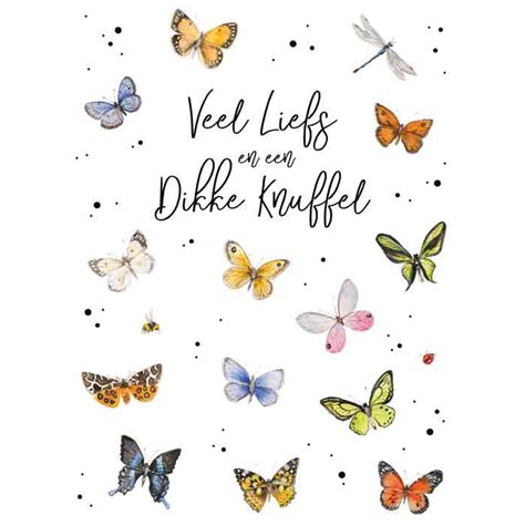 Wenskaart Groot Veel Liefs En Een Dikke Knuffel Janneke Brinkman