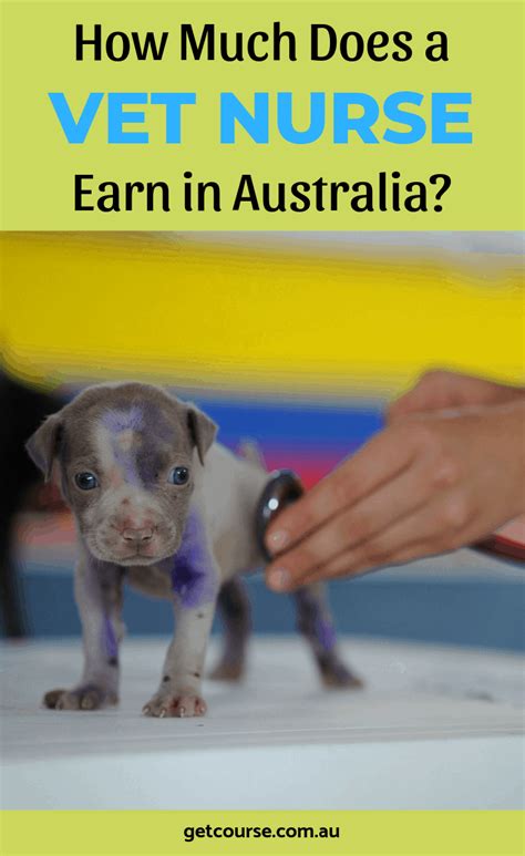 How Much Does A Vet Nurse Make HOWMUCHSJ