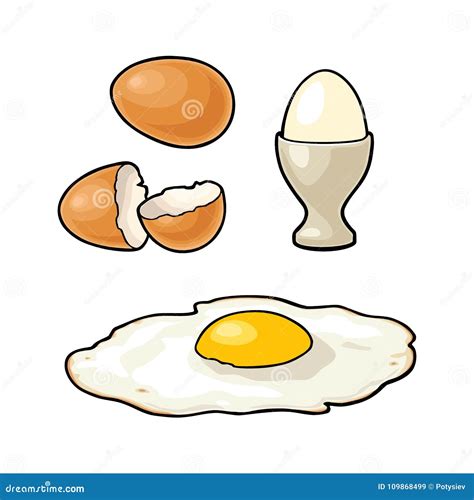 Oeuf Au Plat Et Coquille Cassée Illustration De Gravure De Couleur De