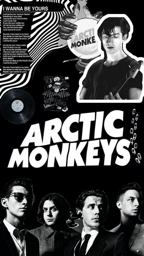 Pin By Ariel On Idea Pins By You In 2022 Monkey Wallpaper Arctic