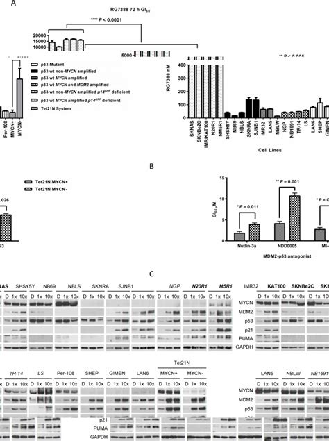 Pre Clinical Evaluation Of The MDM2 P53 Antagonist RG7388 Alone And In