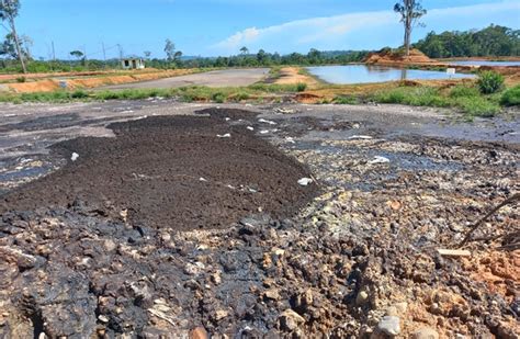 Dorong BRIN Menkes Dan Menteri LHK Kolaborasi Kembangkan Teknologi