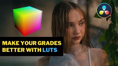 Everything You Need To Know About Luts Davinci Resolve Tutorial