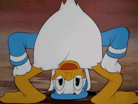 Someone Just Solved The Mystery Why Donald Duck Doesn T Wear Pants