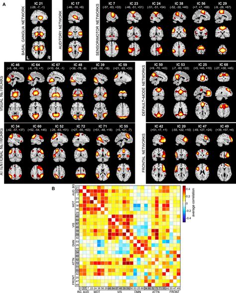functional connectivity within and between rsns a sms of the 28 download scientific diagram