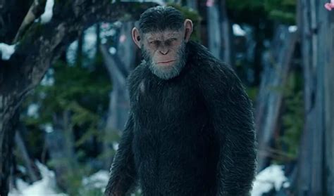 La Planète des Singes le Nouveau Royaume Y a t il César Ayther