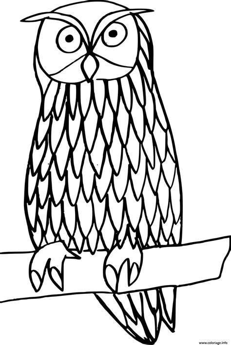 Coloriage Chouette Sur Une Branche La Nuit Dessin Hibou à imprimer