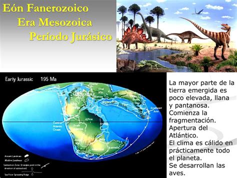PPT ERAS GEOLÓGICAS DESDE HACE 4 500 000 000 DE AÑOS AL PRESENTE