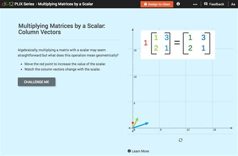 multiplying matrices by a scalar column vectors interactive for 10th 12th grade lesson planet