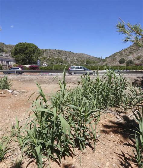 Crimen Ester Estepa Hallan el cadáver de Ester la mujer vista por