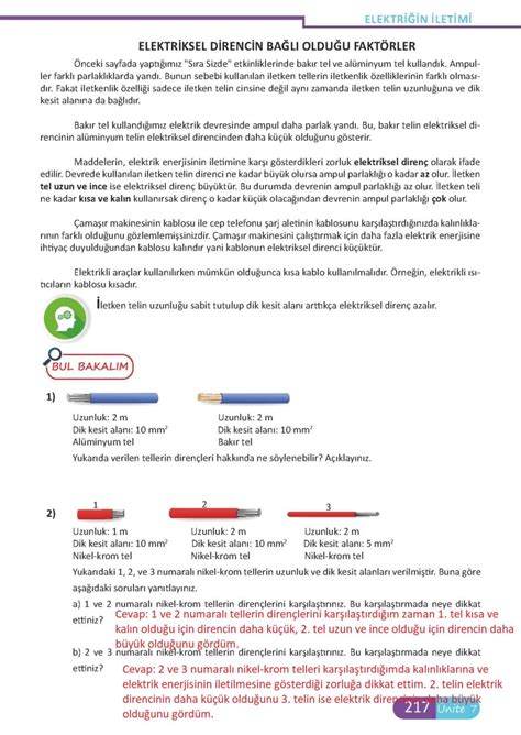 6 Sınıf Fen Bilimleri Meb Yayınları Sayfa 217 Cevapları