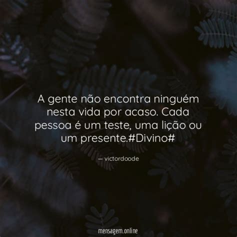 Ningu M Passa Em Nossa Vida Por Acaso A Gente N O Encontra Ningu M
