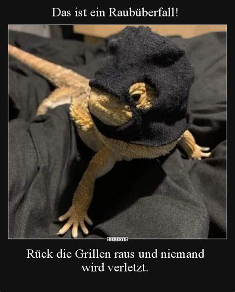 Das ist ein Raubüberfall Rück Grillen raus und niemand wird
