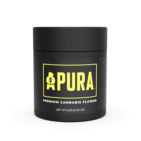 Gmo X Banana Cream Cake Jealousy • Flower 35g Pura Treehouse Cannabis
