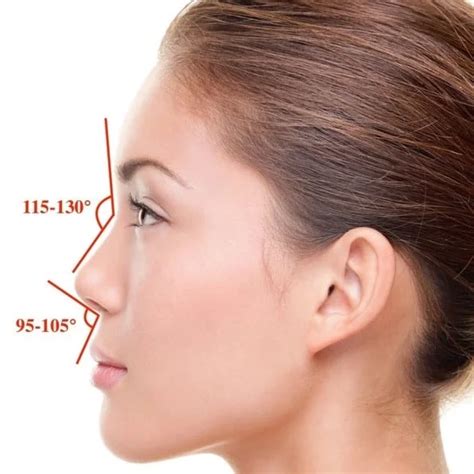 Unique Aquiline Nose Shapes