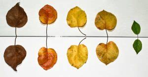 Understanding The Blazor Component Lifecycle Jonathan Crozier