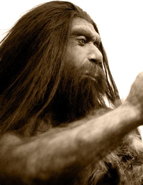 Neanderthal Lived At The Same Time As Humans But Went Extinct Why How