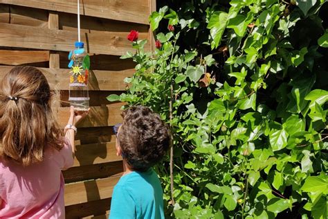 Cómo hacer un comedero para pájaros paso a paso una manualidad fácil