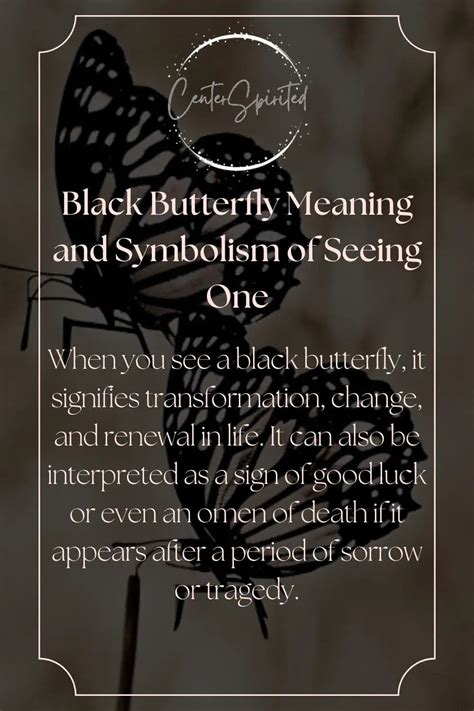 Black Butterfly Meaning And Symbolism Of Seeing One
