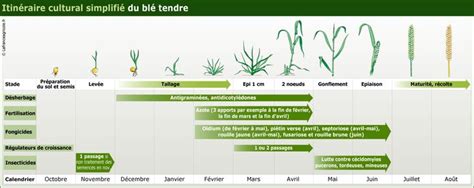 Céréales Productions végétales L agriculture La France Agricole