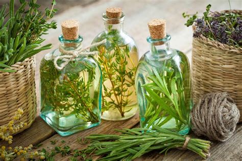 Les bienfaits des plantes sur la santé Mon blog beauté et santé