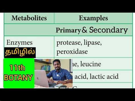 11th Biology Biomolecules Part 6 PRIMARY AND SECONDARY METABOLITES