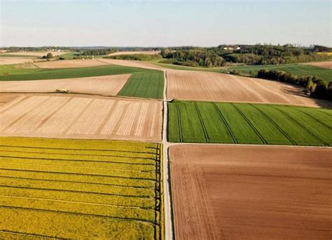Al Via Banca Nazionale Delle Terre Agricole Ismea 20 Mila Ettari All