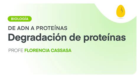 Degradación de proteínas Biología De ADN a proteínas V9 Egg