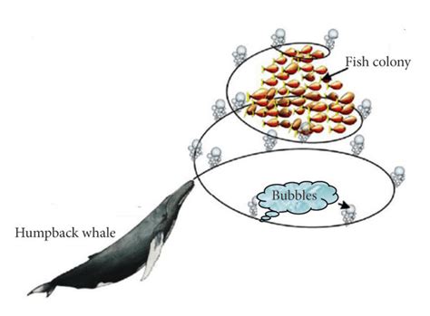 bubble net behavior based on whale optimization algorithm download scientific diagram