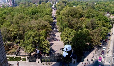 Bosque De Chapultepec On Twitter RT Mroblesg Ya Pueden Disfrutar De