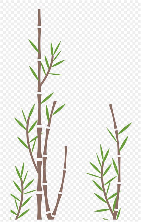Bamboo Vector Design Images Bamboo Plant Tree Branch PNG Image For