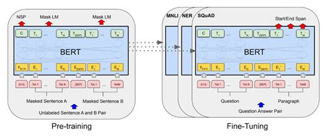 BERT With PyTorch From Scratch