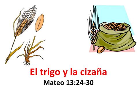 Cual Es La Enseñanza De La Parabola Del Trigo Y La Cizaña Cómo Enseñar