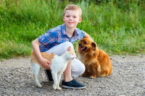 Looking After Pets TeachingEnglish British Council BBC