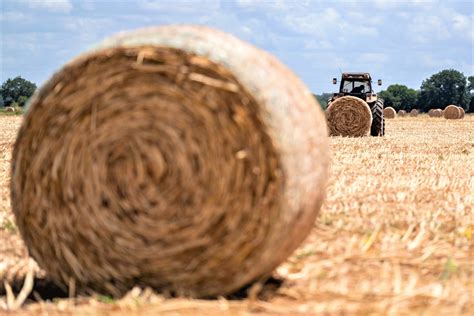 National Beef Wire Texas Cattle Producers Plan For Look Toward