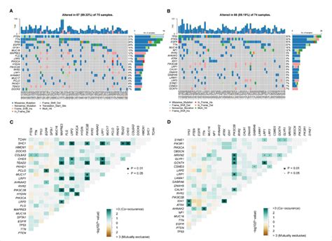 Landscape Of Somatic Mutations In The Tprgrs Low And High Risk Groups