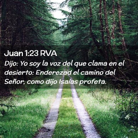 Juan Rva Dijo Yo Soy La Voz Del Que Clama En El Desierto