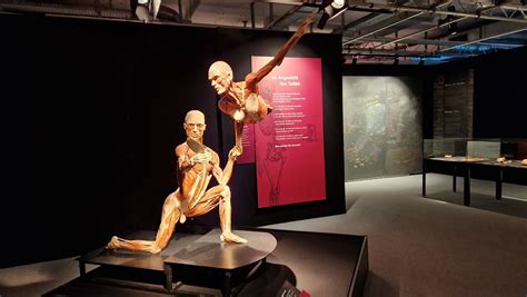 Oktober K Rperwelten Ausstellung Stuttgart Henk Uit Genk Flickr