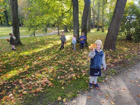 Złota jesień listki Gminne Przedszkole im Jana Brzechwy w