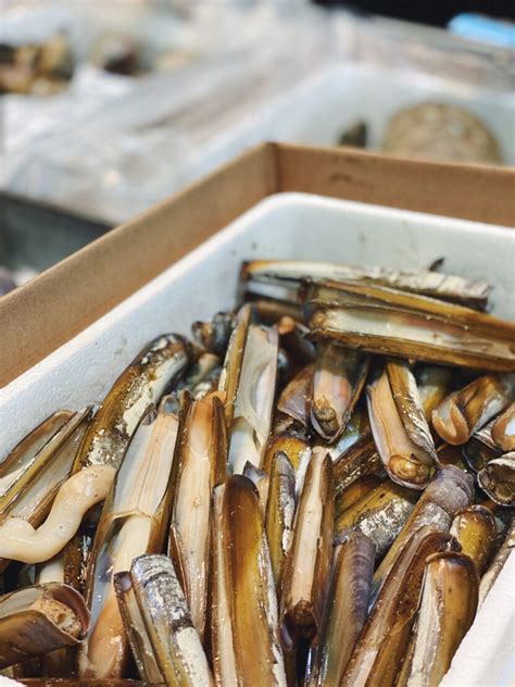 Razor Clam Season April 2024 India Meade Jocelyn