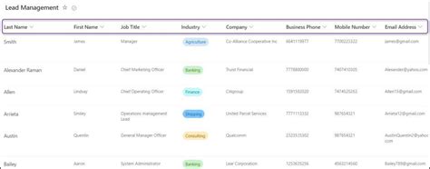 Create Multiple Tabs In Power Apps Form Lead Management Apps Example