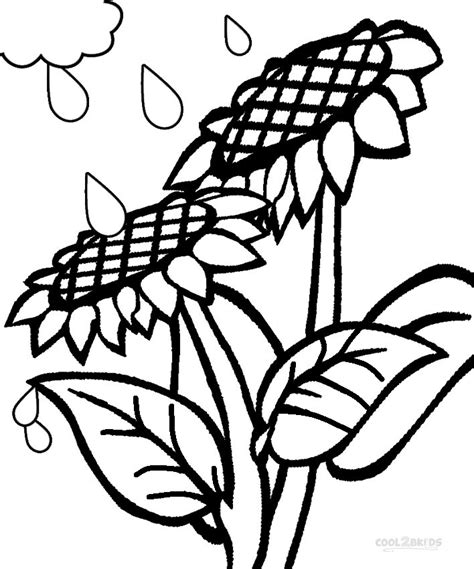 Dibujos de Girasol para colorear Páginas para imprimir gratis