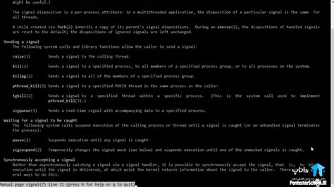 python for penetration testers signals youtube