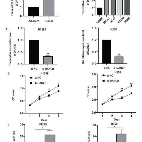 LncRNA DANCR Was Upregulated In NSCLC Tissues And Cell Lines And The