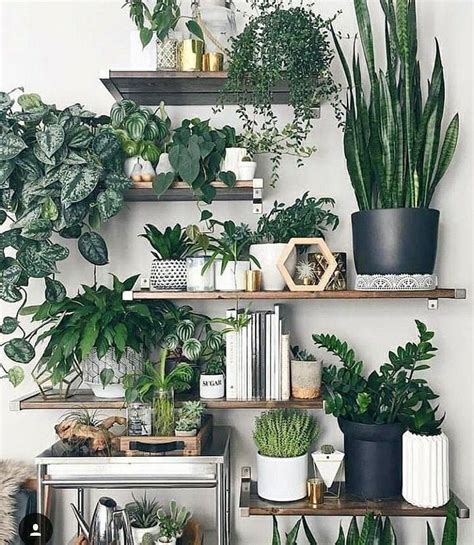 80 DIY Plant Stand Ideas To Fill Your Room With Greenery These Trendy