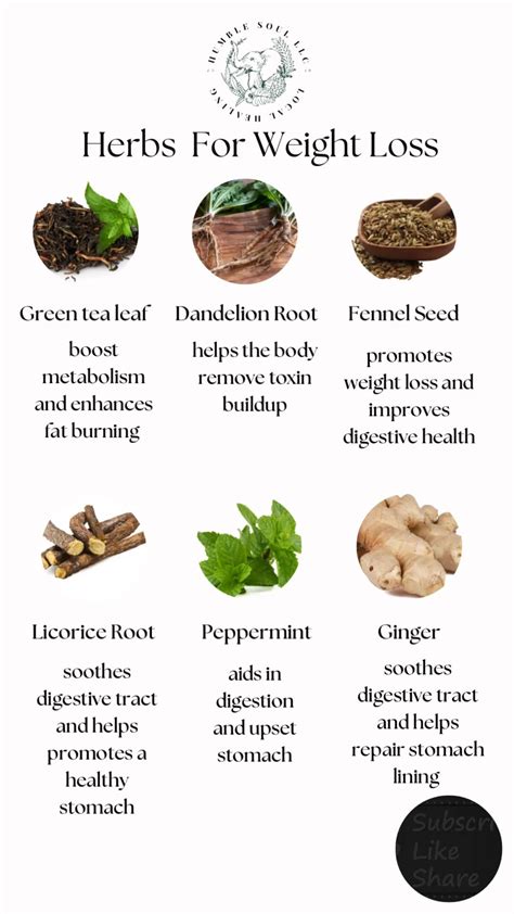 Best Herbs For Weight Loss How To Use Them Artofit